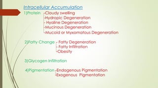 ACCUMULATION intracellular and extracellular.pdf
