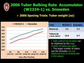 Accumulator a new short storage chip potato variety with outstanding ...