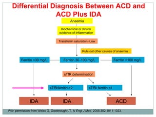 Anemia of chronic disease | PPT