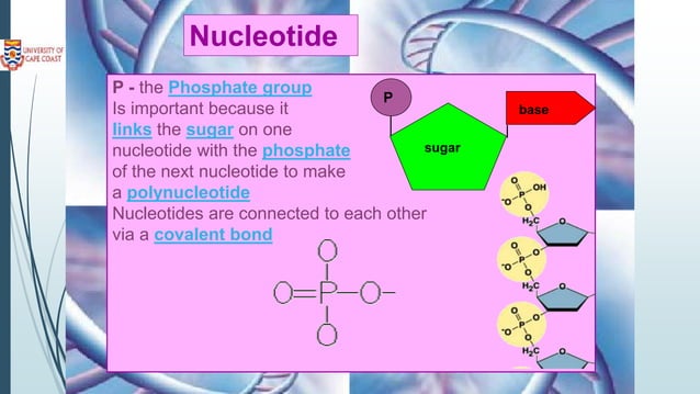 ACD 101 Introduction to Science. Lecture 4.pptx ACD 101 Introduction to Science. Lecture 4.pptx