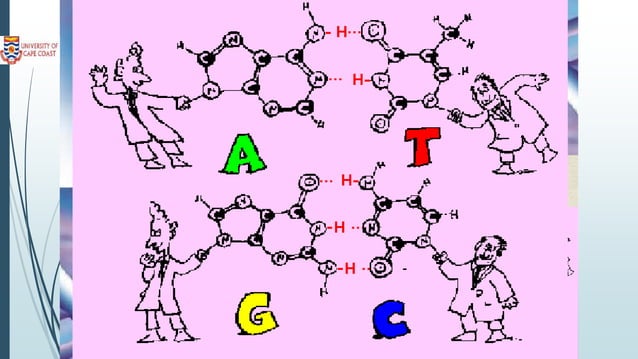 ACD 101 Introduction to Science. Lecture 4.pptx ACD 101 Introduction to Science. Lecture 4.pptx