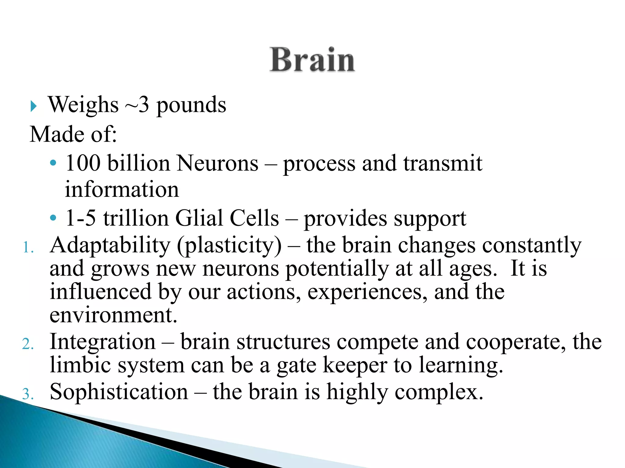 Drops NeuroSafe | PPT