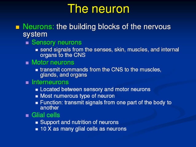 Drops NeuroSafe | PPT