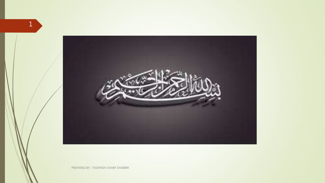 SEPARATELY EXCITED & SHUNT DC MACHINES | PPTX | Physics | Science