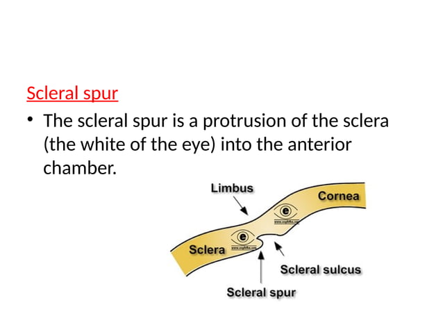 Anterior chamber depth evaluation notes.pptx
