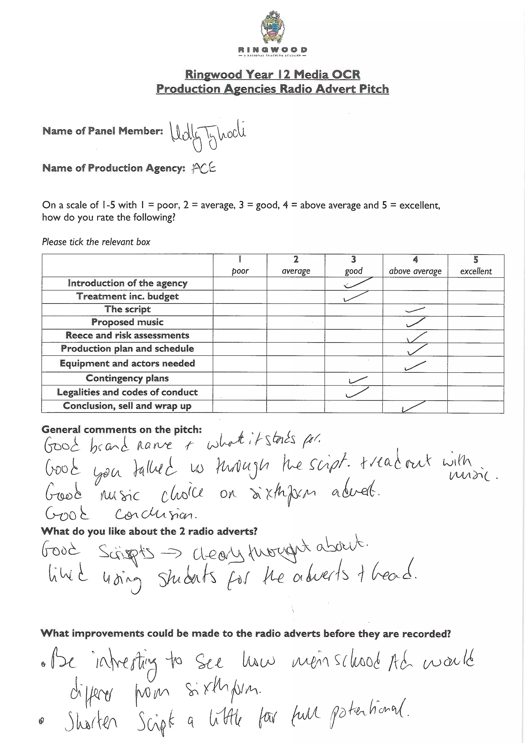 Pitch Feedback Sheets | PDF