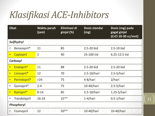 ACE Inhibitors (Penghambat Enzim Konversi Angiotensin)