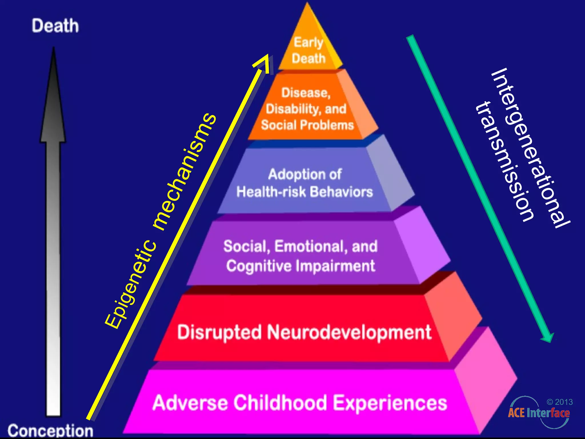 The Adverse Childhood Experiences (ACE) Study | PPT