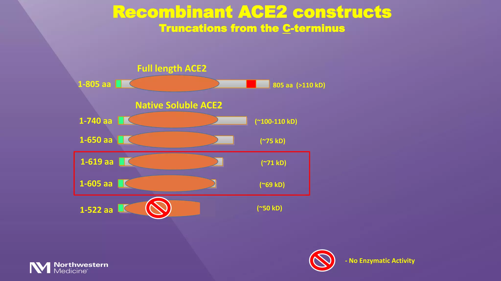 ACE2 , Hypertension and SARS Cov2 | PPT