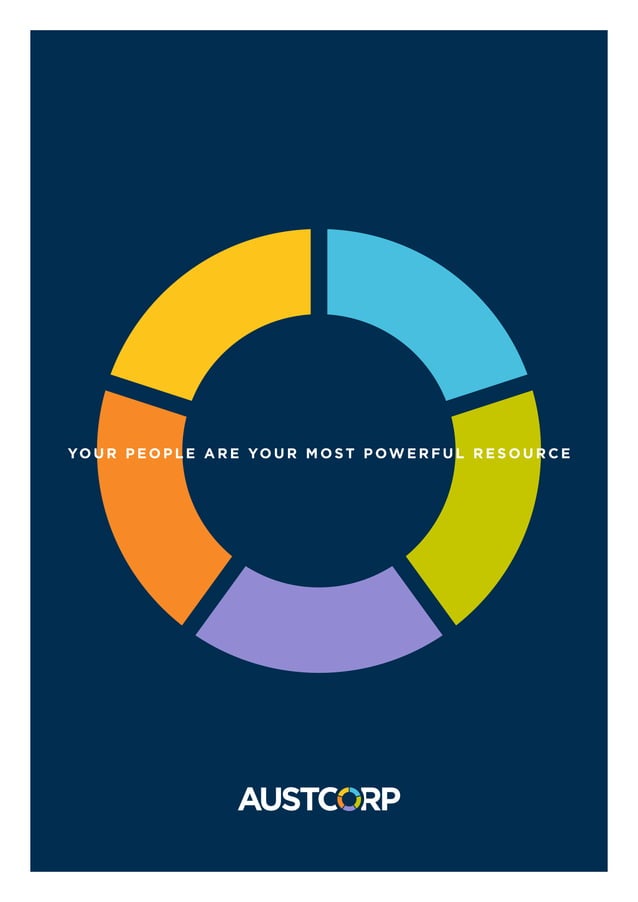 Introduction to AustCorp Executive | PDF