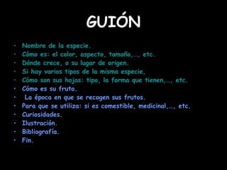 El Acebo | PPT