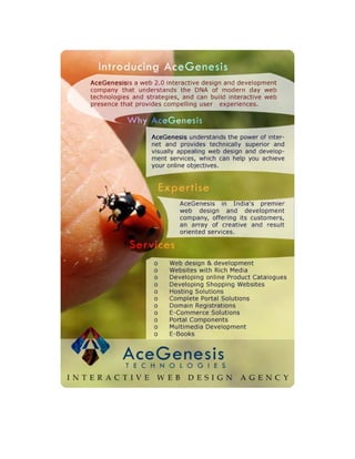 Ace Genesis Brochure - Web Design Services | PDF