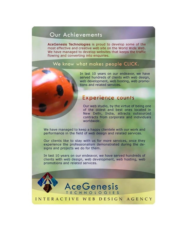 Ace Genesis Brochure - Web Design Services | PDF