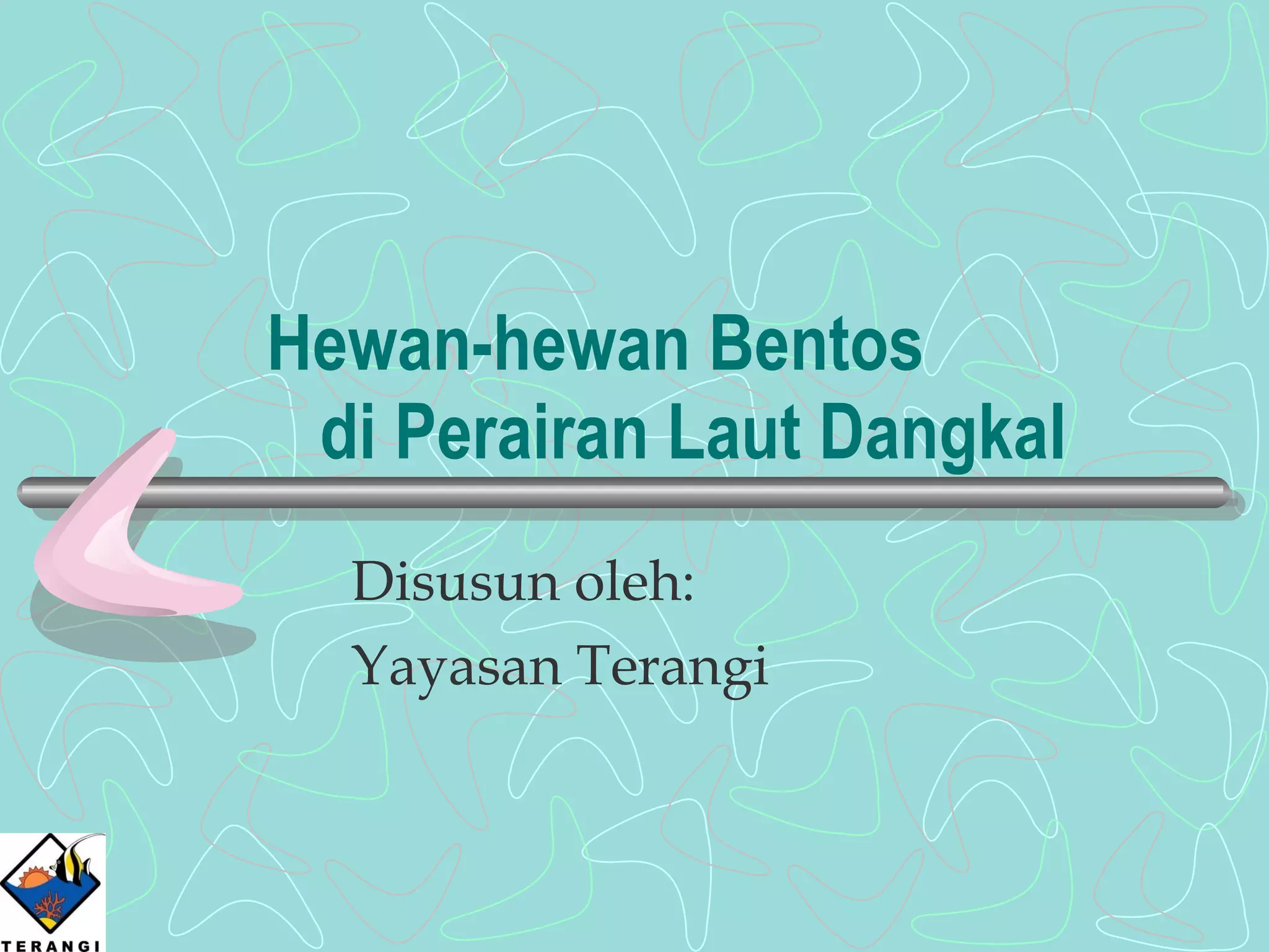 Hewan-hewan bentos di perairan laut dangkal | PPT