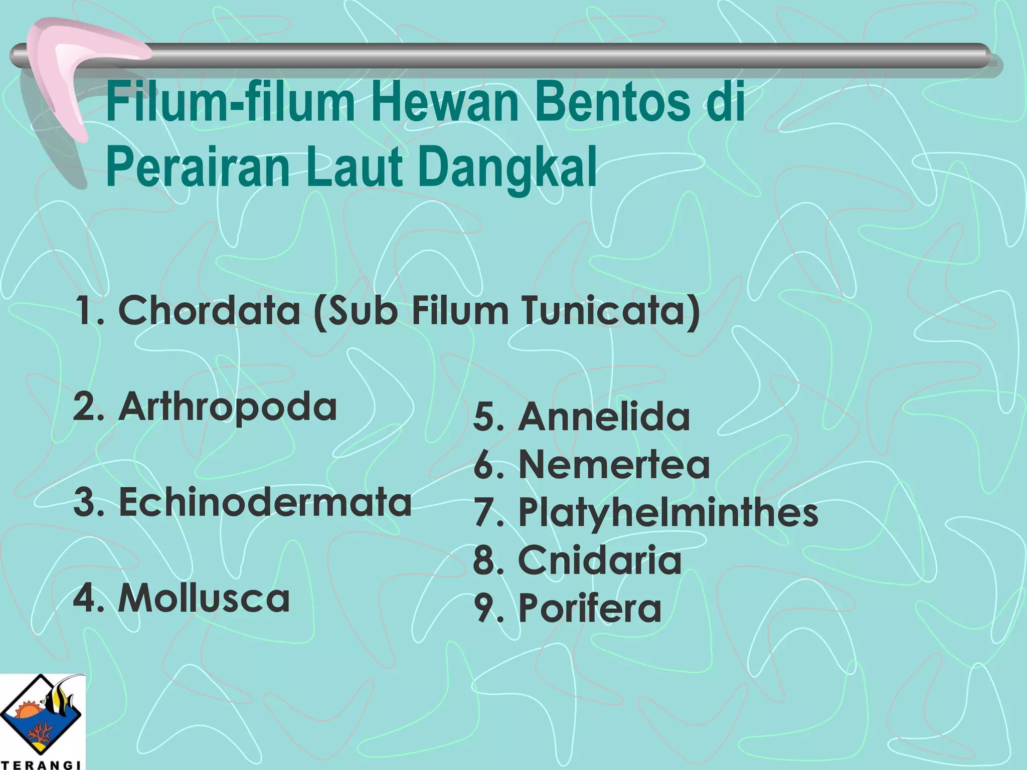 Hewan-hewan bentos di perairan laut dangkal | PPT