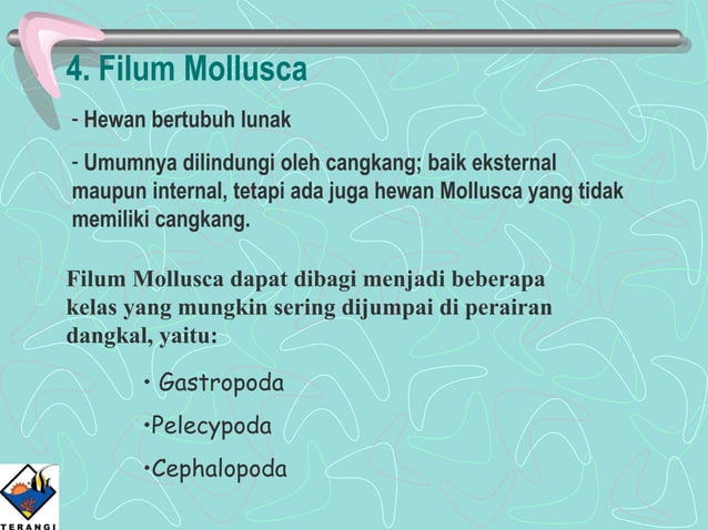 Hewan-hewan bentos di perairan laut dangkal | PPT