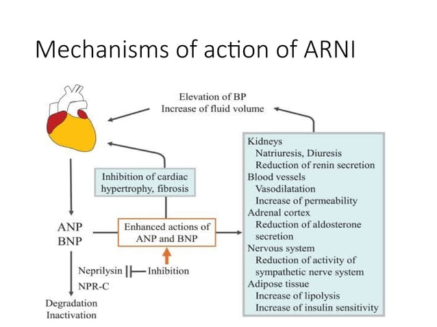 A presentation on ACEi ARB ARNi New.pptx