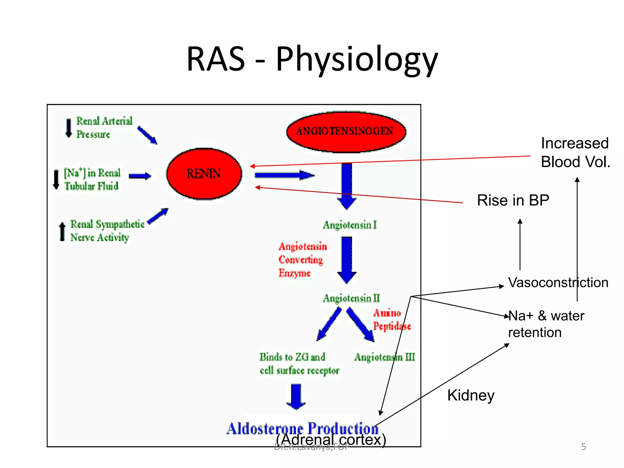 ACE Inhibitors & ARBs | PDF