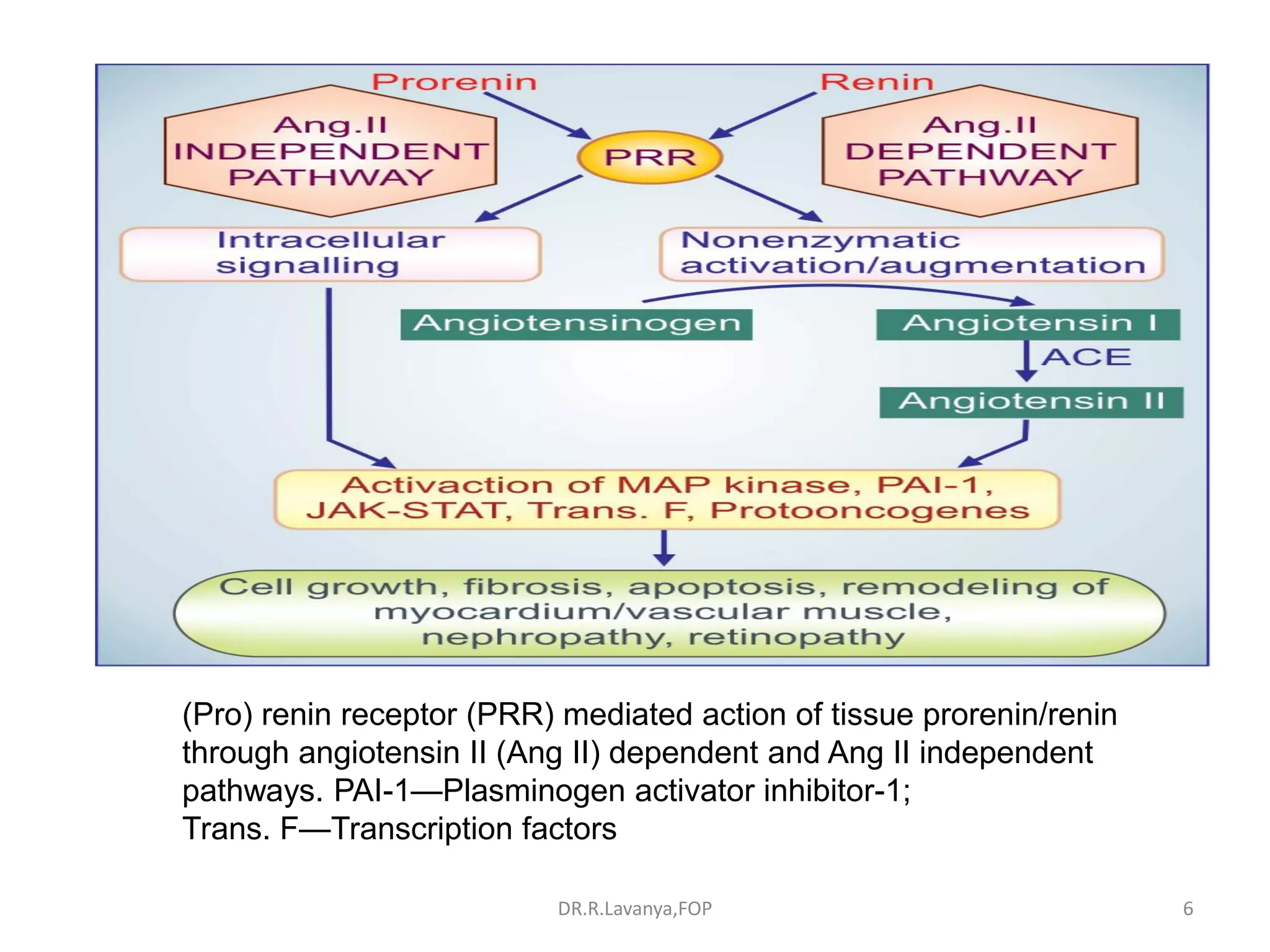 ACE Inhibitors & ARBs | PDF