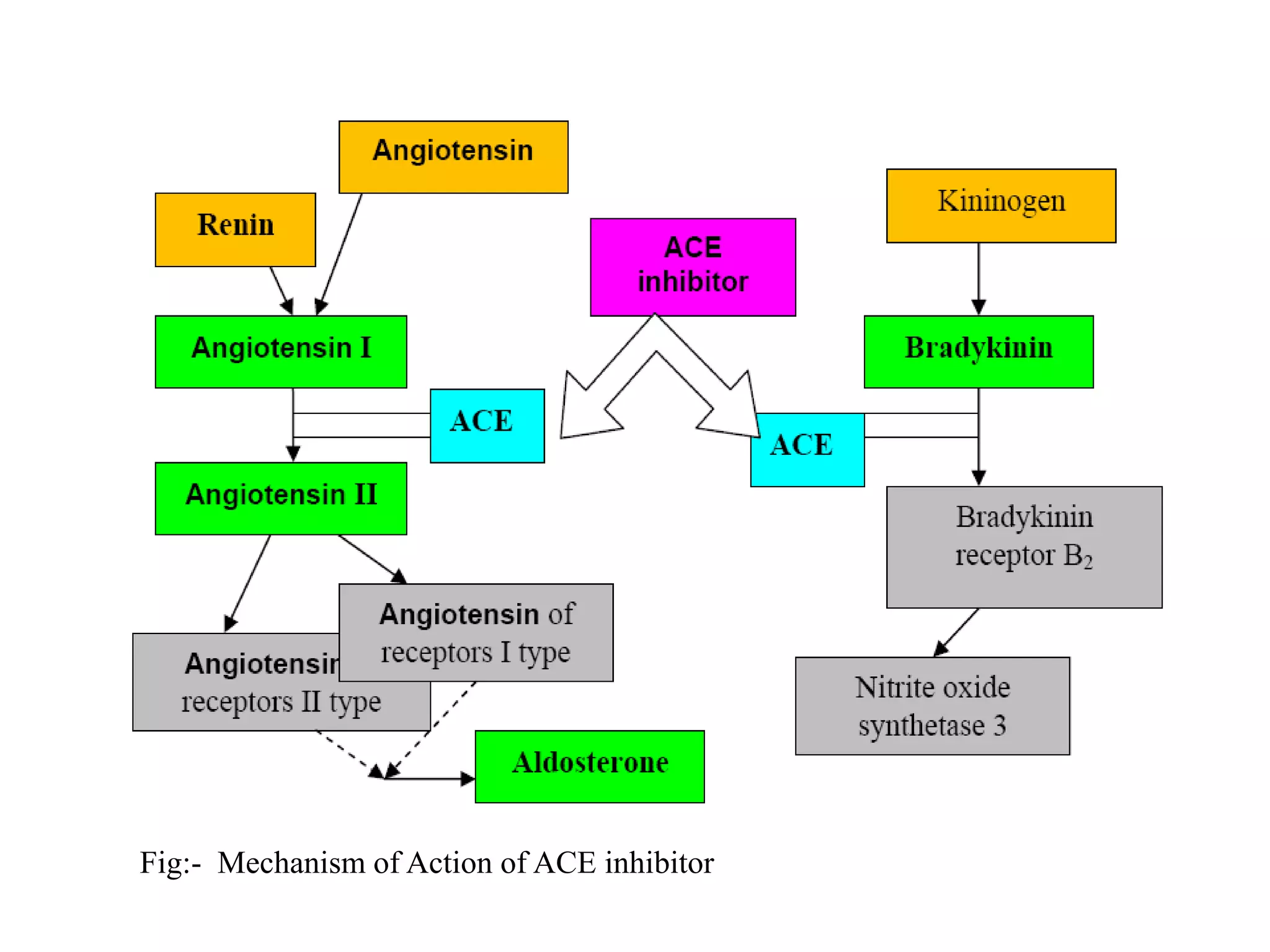Ace inhibitor | PPTX