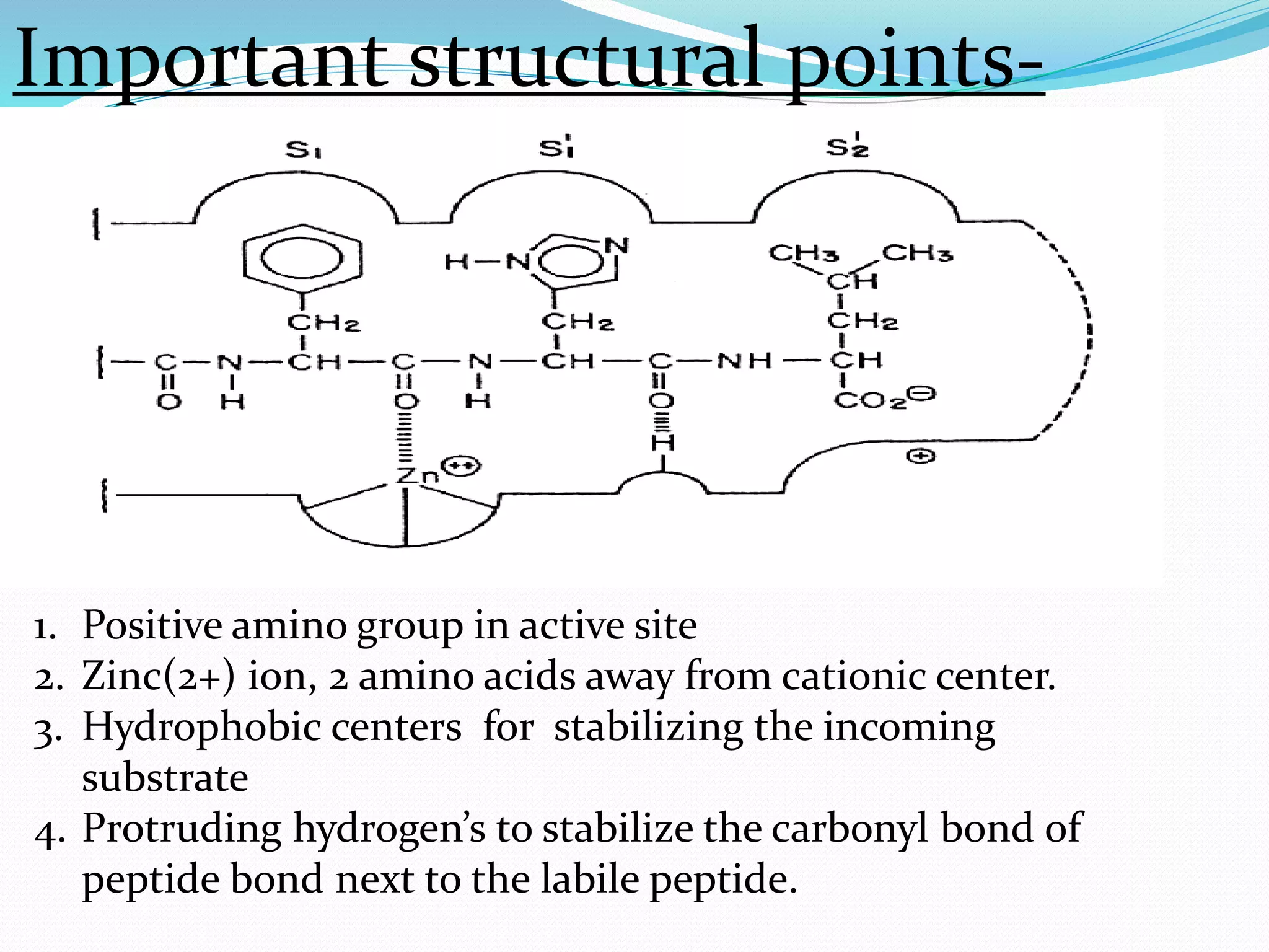 ACE Inhibitors | PPTX