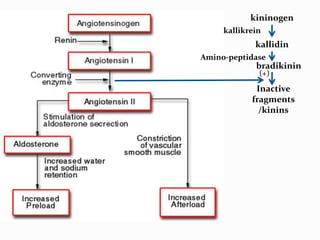 ACE Inhibitors | PPTX