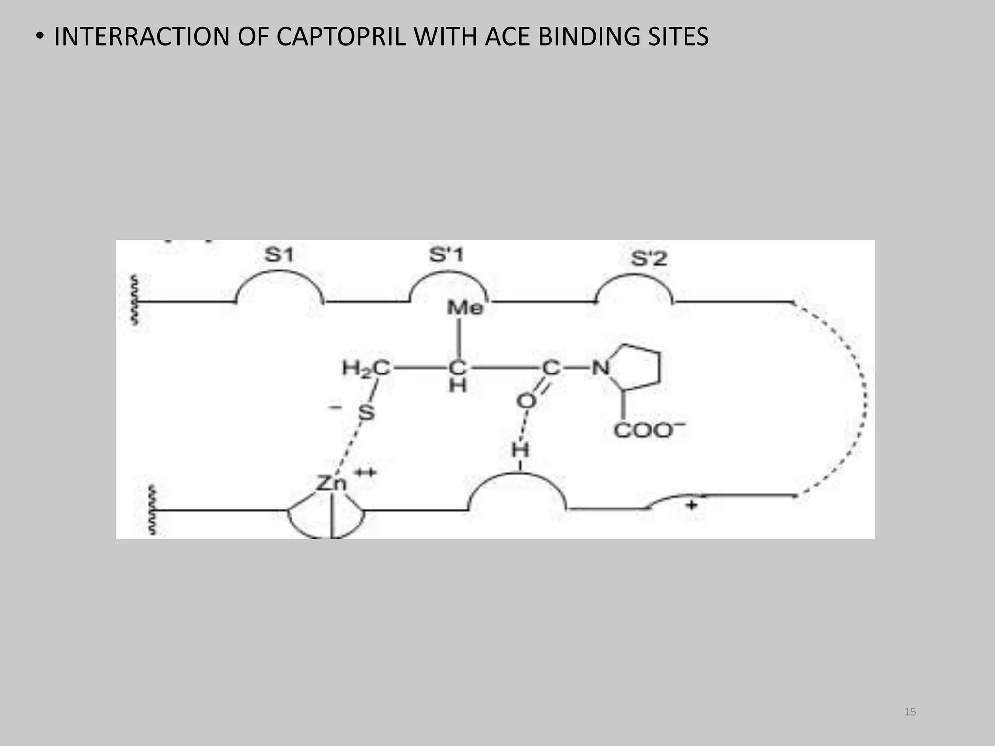 Agents affecting renin angiotensin aldosterone system (RAAS) | PPTX