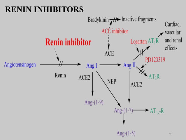 Agents affecting renin angiotensin aldosterone system (RAAS) | PPTX