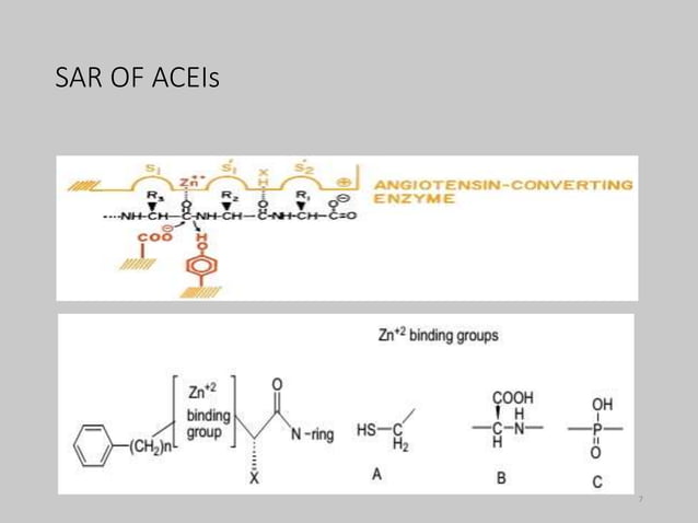 Agents affecting renin angiotensin aldosterone system (RAAS) | PPTX