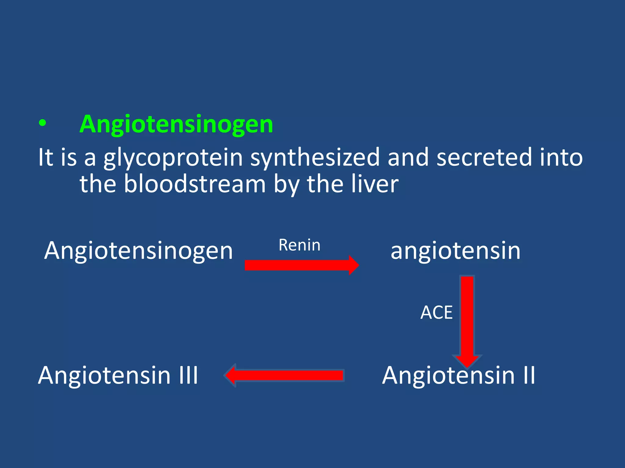 ANGIOTENSIN CONVERTING ENZYME/ACE inhibitors | PPT