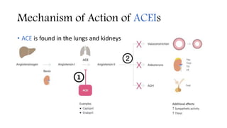 Ace inhibitors | PPTX | Heart and Cardiovascular Diseases | Diseases ...