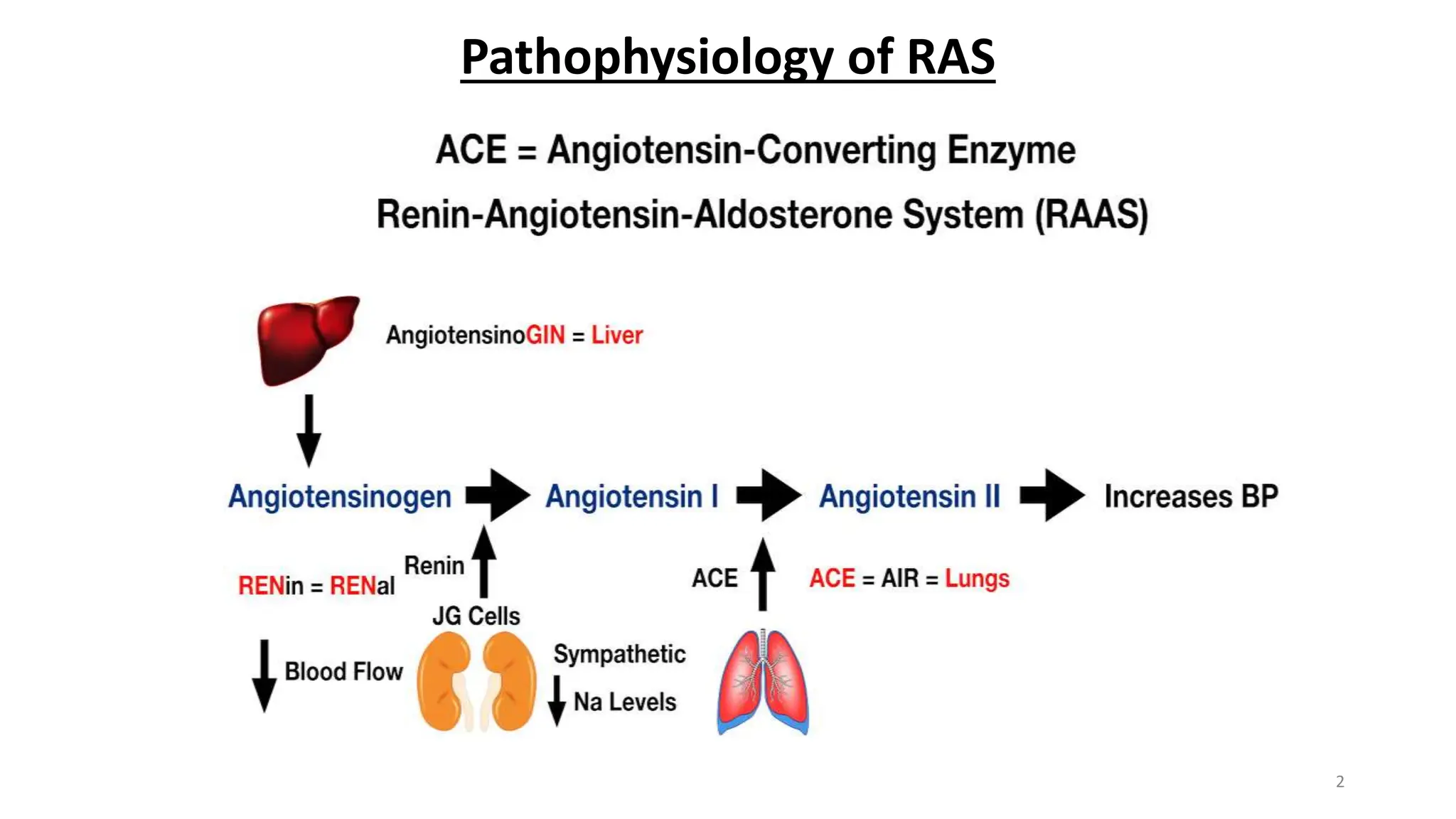 ACE Inhibitors + AT1 Receptor blockers, by Baqir Naqvi.pptx