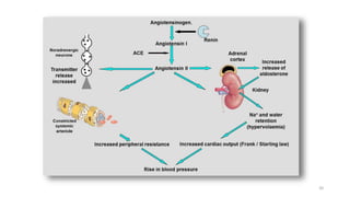 ACE Inhibitors + AT1 Receptor blockers, by Baqir Naqvi.pptx