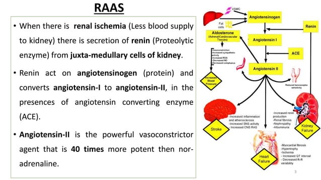ACE Inhibitors + AT1 Receptor blockers, by Baqir Naqvi.pptx | Heart and ...