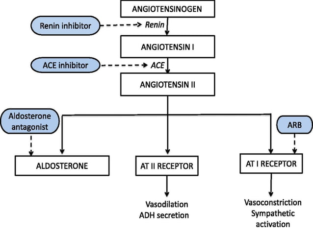 ACE Inhibitors