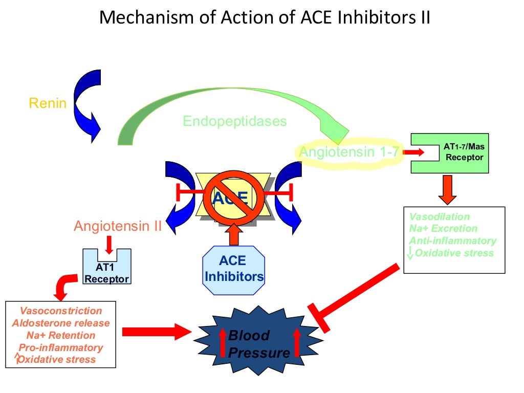 ACE Inhibitors