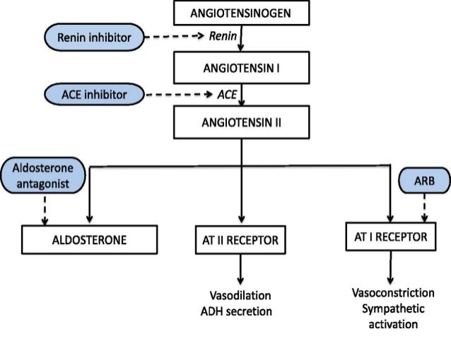 ACE Inhibitors