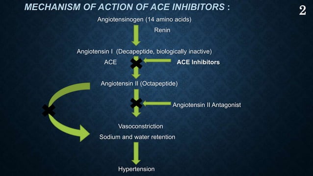 AcE Inhibitors in Hypertension | PPTX | Heart and Cardiovascular ...