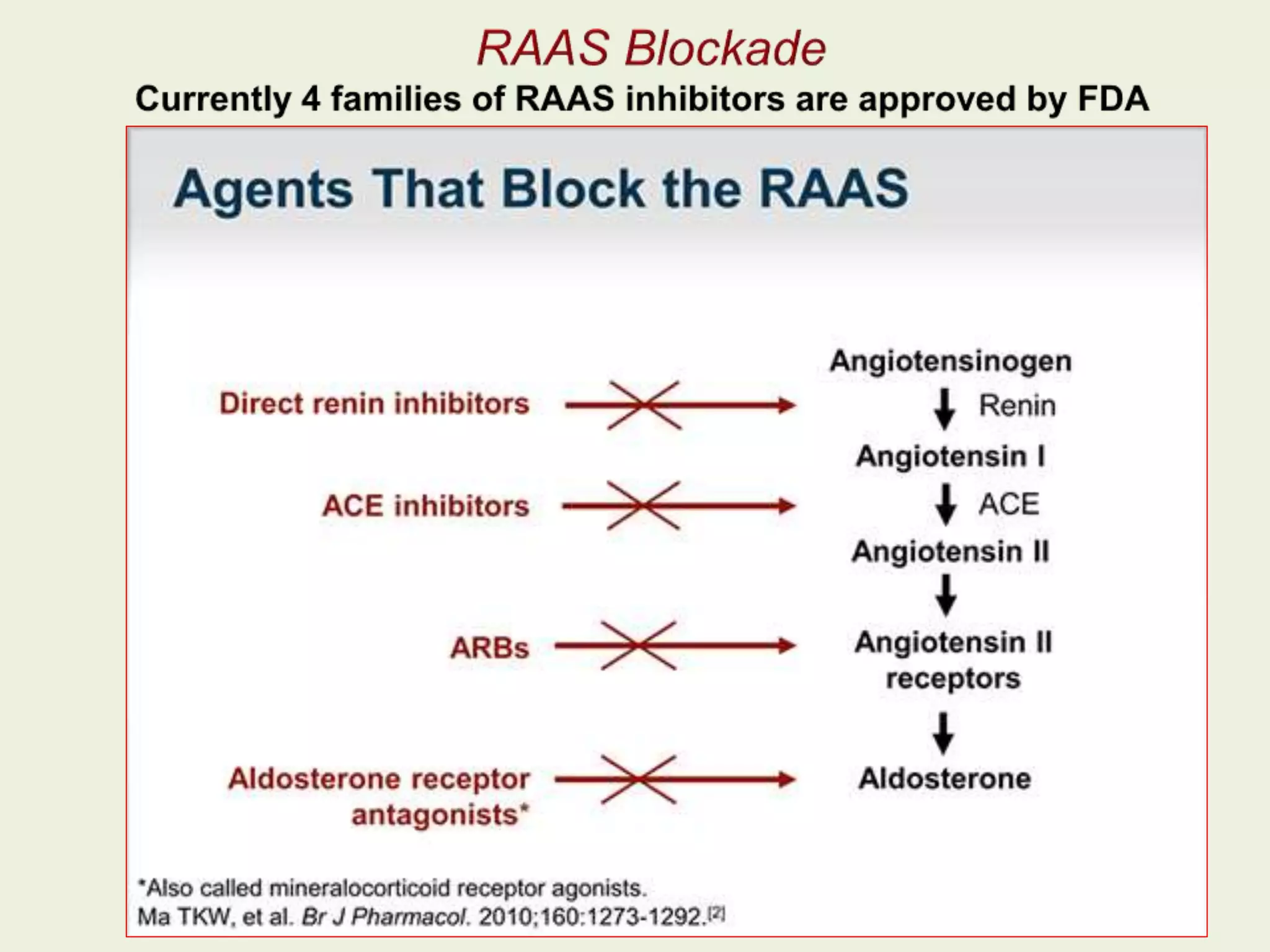 Cardio-Renal Protection Through Renin–Angiotensin–Aldosterone System ...