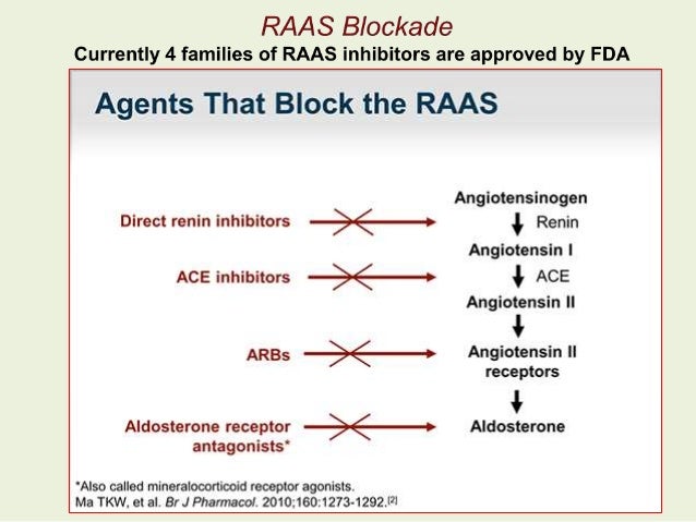 Cardio-Renal Protection Through Renin–Angiotensin–Aldosterone System