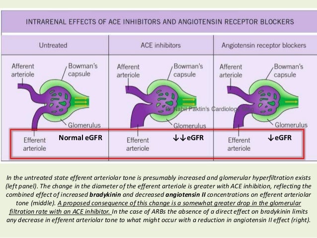 Cardio-Renal Protection Through Renin–Angiotensin–Aldosterone System