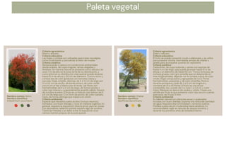 ficha vegetal de arboles nativos chilenos | PDF