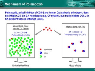 Acelex capsule 2mg - tissue selective cox-2 inhibitor crystal genomics ...