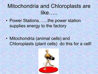 A Cell is like a Factory.ppt