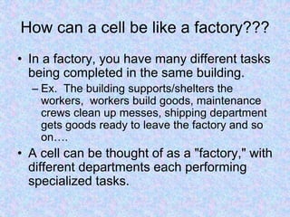 A Cell is like a Factory.ppt