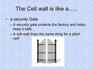 A Cell is like a Factory.ppt