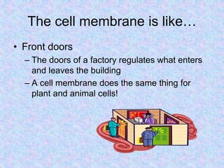 A Cell is like a Factory.ppt