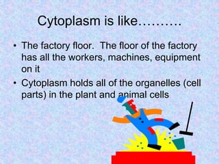 A Cell is like a Factory.ppt