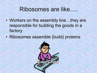 A Cell is like a Factory.ppt