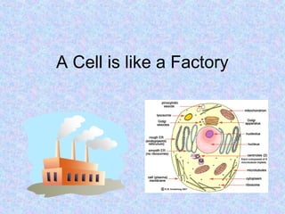 cell theory lecture for biologist introduction | PPT